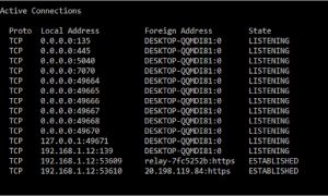 What are Port Numbers and How Do They Work in Networking?
