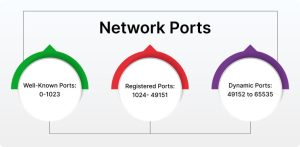 What are Port Numbers and How Do They Work in Networking?