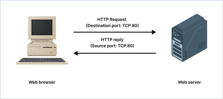 What are Port Numbers and How Do They Work in Networking?